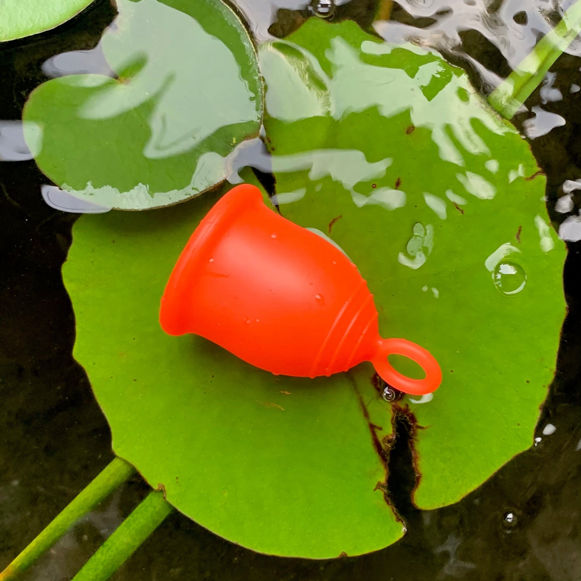 Best menstrual cup for a sensitive bladder – Asan India