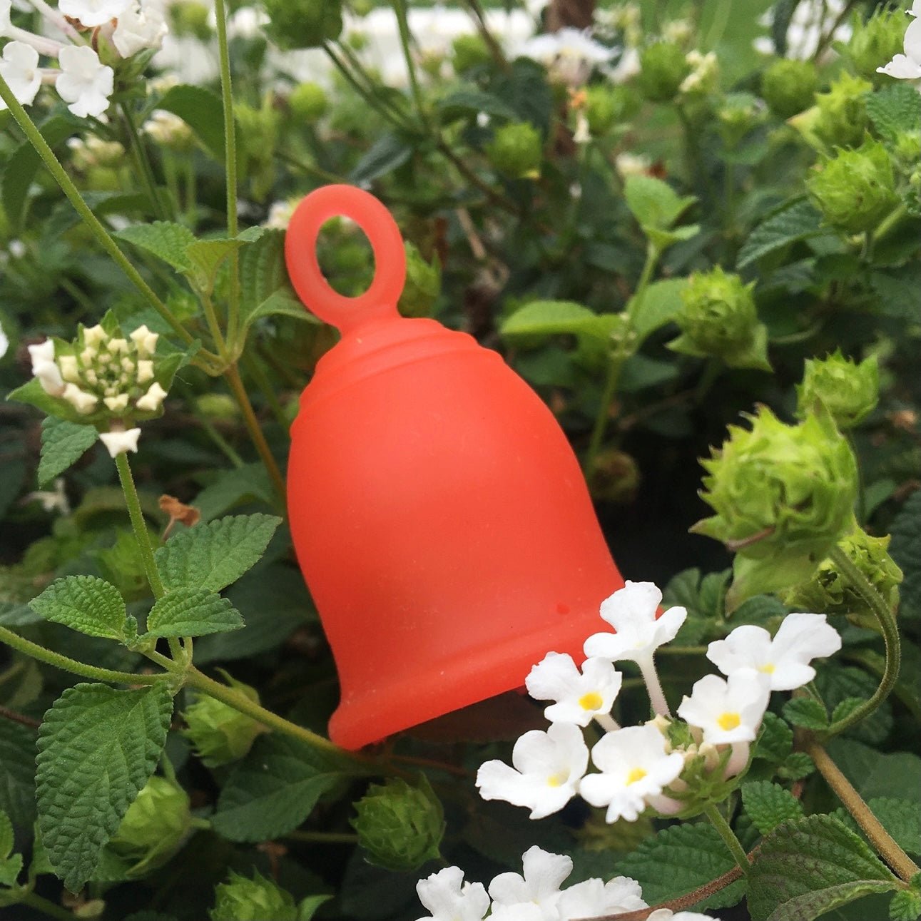 Best menstrual cup for normal flow – Asan India